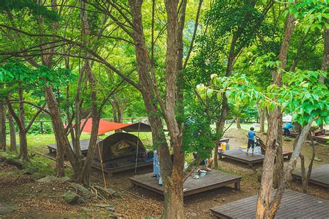 피톤치드 파라다이스 강화도 숲속 캠핑