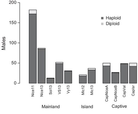 Number Of Haploid And Diploid Males In The 11 Populations Within Each Download Scientific