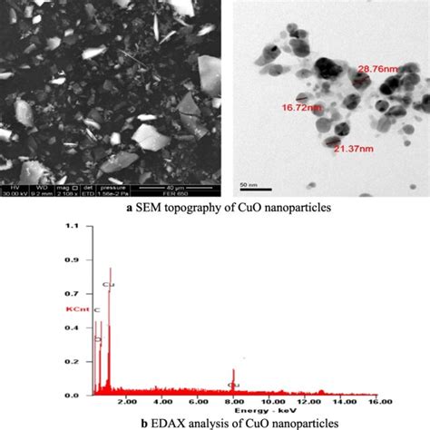 A Sem Topography Of Cuo Nanoparticles B Edax Analysis Of Cuo