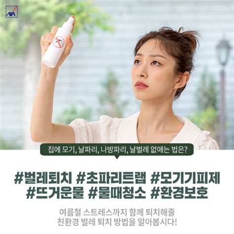 집에서 모기 날파리 나방파리 날벌레를 없애는 법은 친환경 벌레 퇴치 방법 알아보기 초파리 트랩 계피 모기기피제