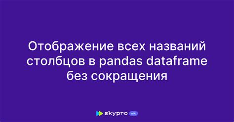 Отображение всех названий столбцов в Pandas Dataframe без сокращения
