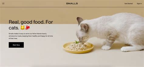 PAS Copywriting Formula Explained With Real Examples Starter Story