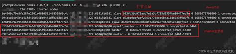 linux搭建redis真集群 三主三从 redis集群部署三台服务器 csdn博客