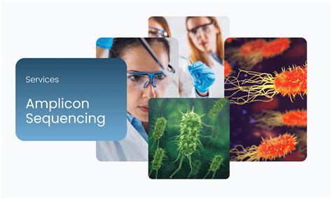 Amplicon Sequencing I Massive Bioinformatics