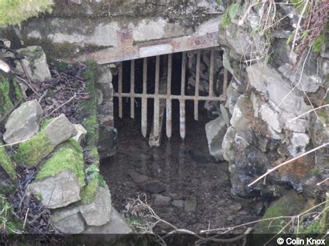 Details Of The Site Ecton Copper Mines Dale Mine Adit In The Hamps And Manifold Area