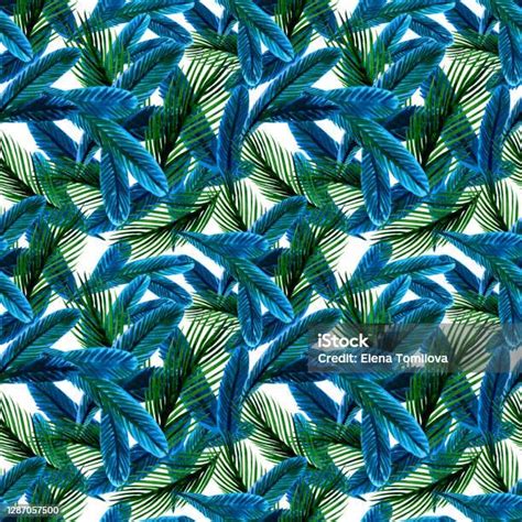 수채화 전나무 나무와 소나무 나뭇 가지 겨울과 Chritmas 컬렉션 흰색 배경에 솔름 패턴 손 화가 일러스트레이션 12월에 대한 스톡 벡터 아트 및 기타 이미지 Istock