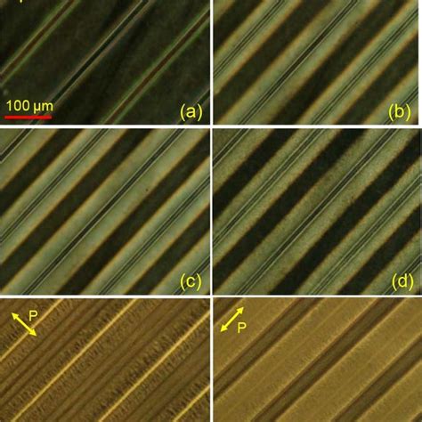 Fabrication Procedure Of A Pnlc Lenticular Microlens Array A Download Scientific Diagram