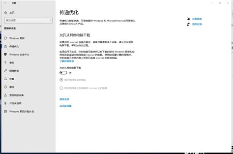 windows传递优化导致的内存占用过高 哔哩哔哩