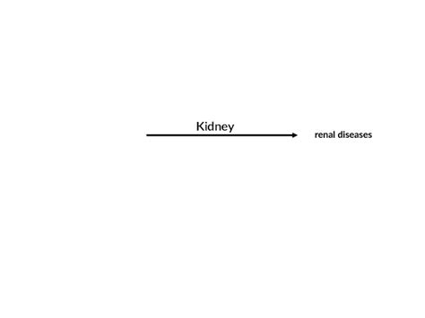 Prenatal Fetal Programming