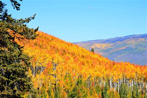 Santa Fe New Mexico Fall Events Guide Woods Design Builders