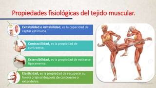 Miología Pptx