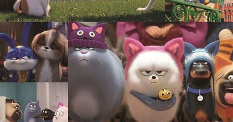 마이펫의 이중생활2 스틸 12종 볼수록 귀여운 펫들의 리얼 라이프