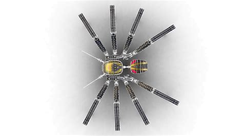 3d Spider Bot V2 Turbosquid 2153357