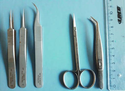 Tools For Dissection Download Scientific Diagram Tools For Dissection Download Scientific Diagram