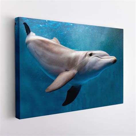 Dolphin Canvas Print Dolphins Wall Art Ocean Life Canvas Art Dolphin