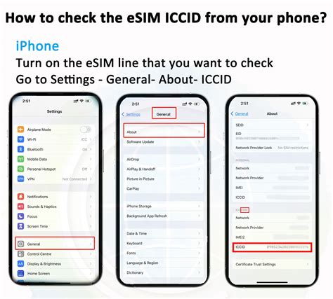 How To Check The Esim Iccid From Your Phone — International Card Center