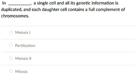 In A Single Cell And All Its Genetic Information Is Duplicated And