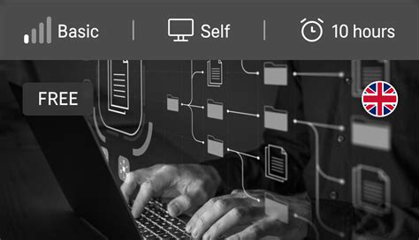 sigma software university