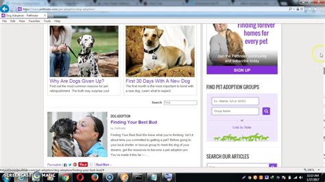 Side Scroll Bar Missing In Chrome At Leigh Clanton Blog