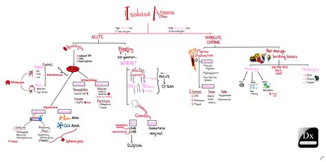 Dx Schema Anemia Thought Train The Clinical Problem Solvers