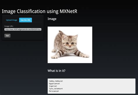 Build Online Image Classification Service With Shiny And Mxnetr R