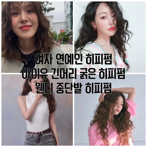 여자 연예인 중단발 웬디 히피펌 아이유 긴머리 굵은 물결펌 네이버 블로그