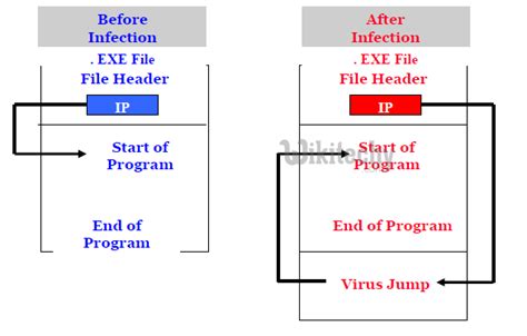 Hacking Tutorials How Virus Works By Microsoft Award MVP Hacker Ethical Hacking Learn