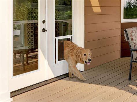 French Door Dog Door French Door Inserts Plexidor