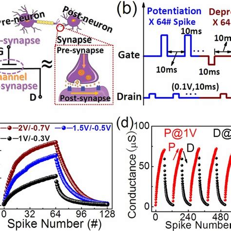 A Schematic Illustration Of The Similarity Between A Biological Download Scientific Diagram