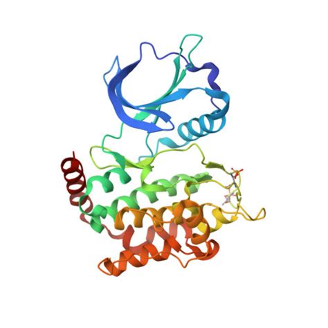 Rcsb Pdb 7xzq Crystal Structure Of Tnik Thiopeptide Tp1 Complex