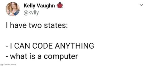 Literally an "us irl" moment : r/ProgrammerHumor