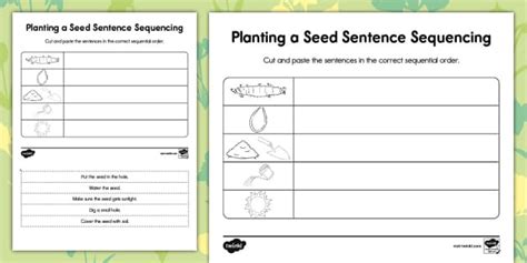 planting a seed sentence sequencing worksheet teacher made