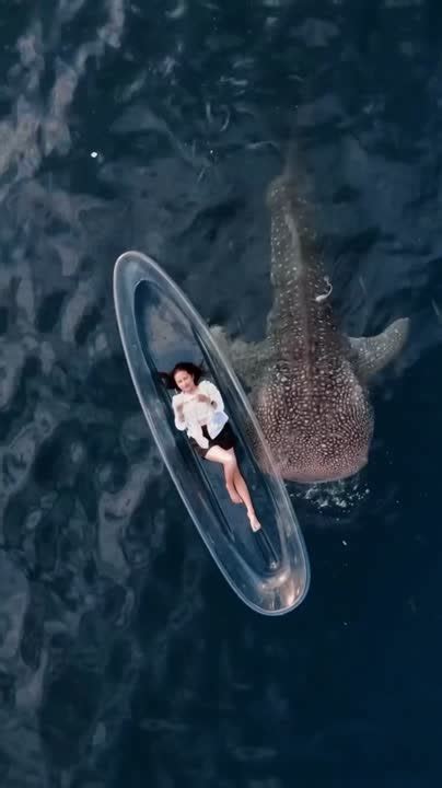 Jaindersingh Negi On Linkedin Inspiration Motivation