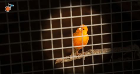 What Is A Key Risk Indicator And Why Is It Important · Riskonnect