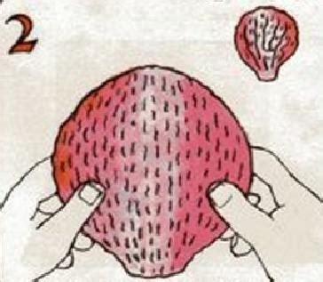 Como Fazer Flores De Papel Passos