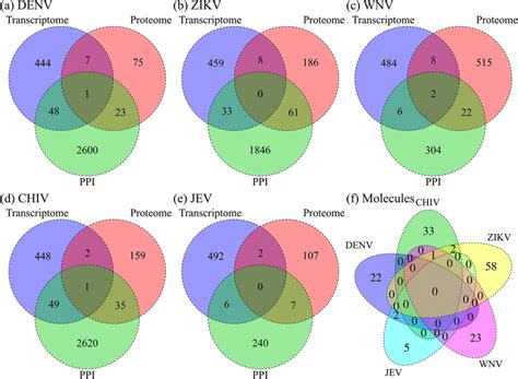 Signature Genes And Proteins By Multiple Omics Analyses Venn Diagrams