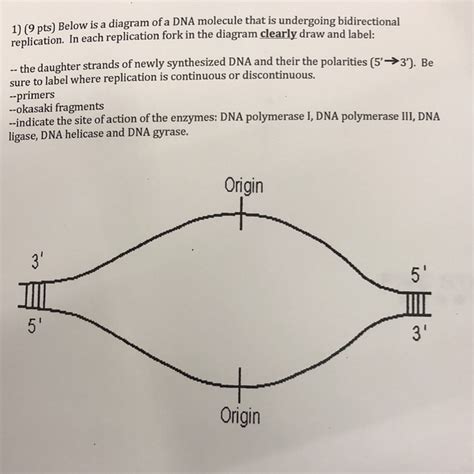 Solved Below Is A Diagram Of A Dna Molecule That Is