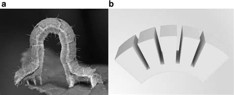 Dynamic Research On Nonlinear Locomotion Of Inchworm Inspired Soft Crawling Robot Soft Robotics
