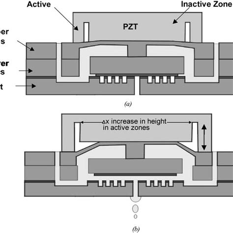 Pzt Actuator Vertical Displacement Versus Applied Voltage In The Download Scientific Diagram