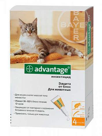 Средства от блох для кошек и котят: обзор наиболее эффективных препаратов