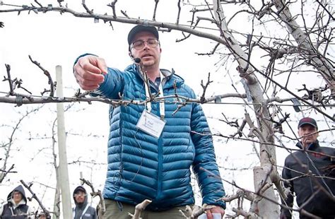 Precision Crop Load Management Based On Counting No Cameras Required — Video Good Fruit Grower