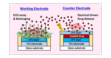 Pedot Pss Based Bioelectrodes For Multifunctional Drug Release And Electric Cell Substrate