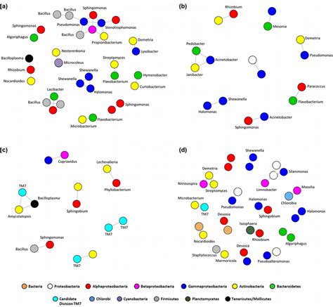 Microbial Co Occurrence Networks For Bacterial Communities Associated