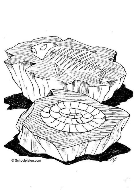 Coloring Page Fossil Free Printables Img 2865