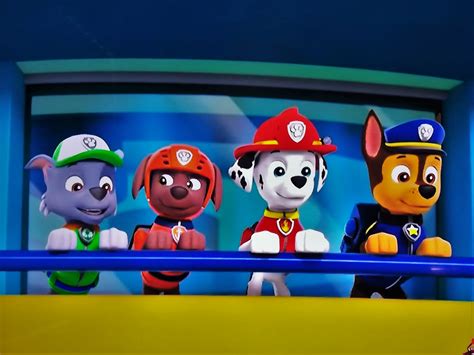 Zuma Marshall Paw Patrol Relation Ship Wiki Fandom 59 Off