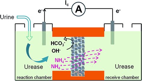 Schematic Representation Of The Biowaste Powered Graphene Nanofluidic