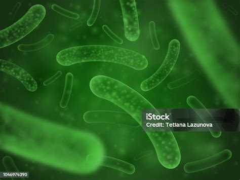 Vetores De Conceito Biológico De Bactérias Micro Probiótico