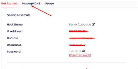 How To Add Txt Record Help Buzinessware