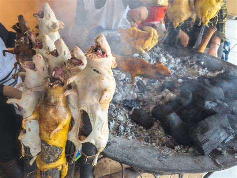 Ecuadorian Food 25 Traditional Dishes To Try
