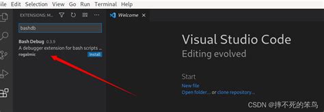 使用vscode调试与编写bash脚本vscode Bash Debug Csdn博客